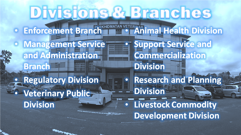 Divisions and Branches - DVS SARAWAK